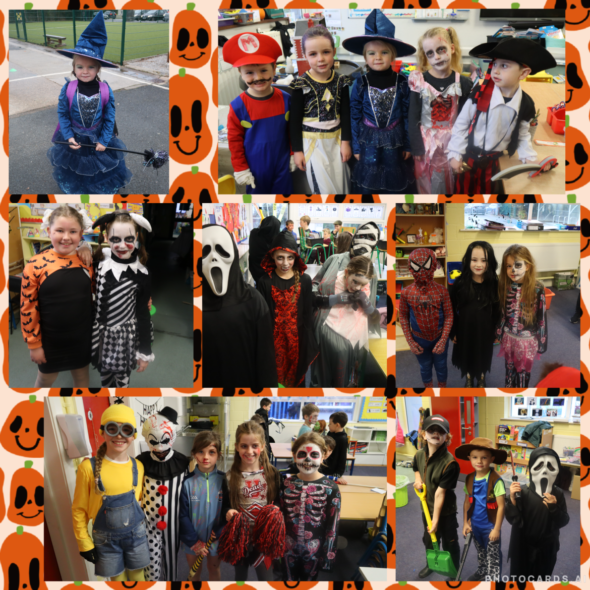 photocards_ai_collage (19) – St. Mary's NS Ballygarrett